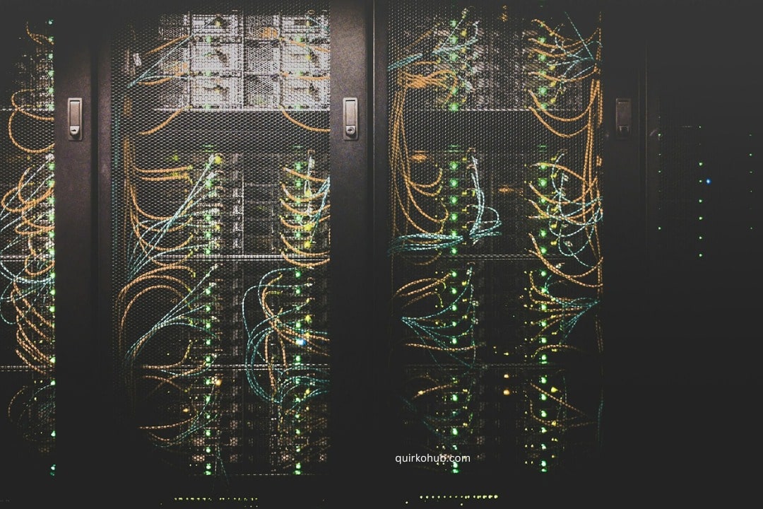 Why Co-Managed Services are the Future of IT Management - Quirko hub